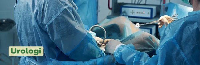 Dokter Urologi – Profil & Jadwal